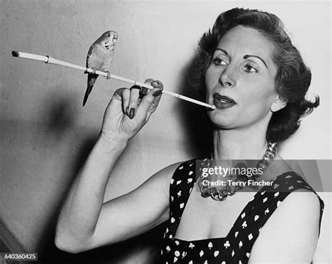 English Actress Patricia Laffan Poses With Jimmy The Tv Budgerigar