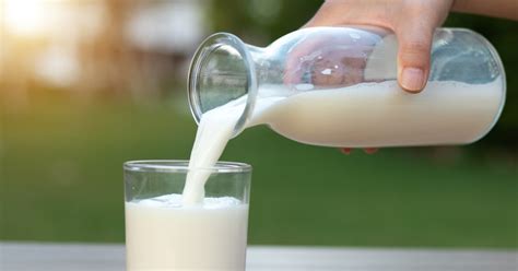 Is Raw Milk Safe To Drink Consumer Nz