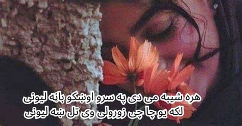 Pashto Poetry 20 Best Pashto Shayari Collection
