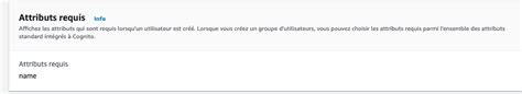 userpool invalid attributedatatype input error no api key configured