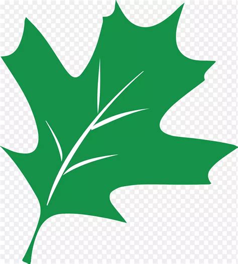 Png Png