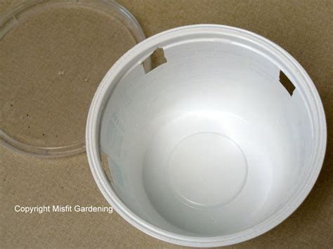 How To Make A Slug Trap Misfit Gardening