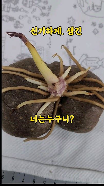 궁금해~~~ Youtube