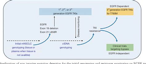 Figure 1 From Applications Of Cell Free Circulating Tumor Dna Detection