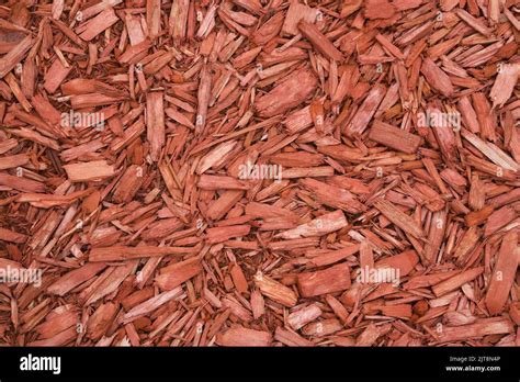Cedar Bark Chips Hi Res Stock Photography And Images Alamy
