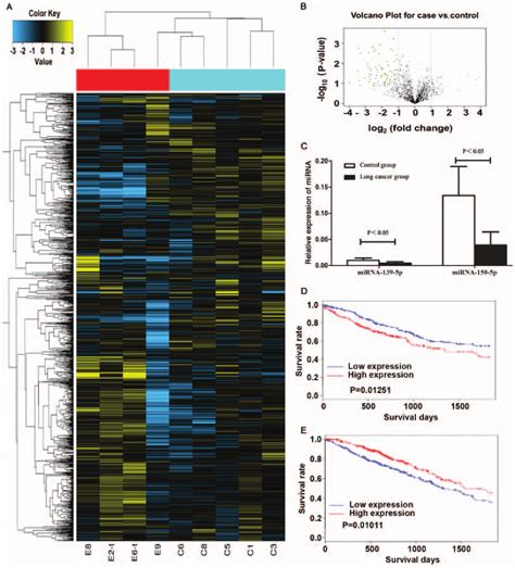 Global View Of Mirna Profile Of Nsclc Mirna Expression Profile Of