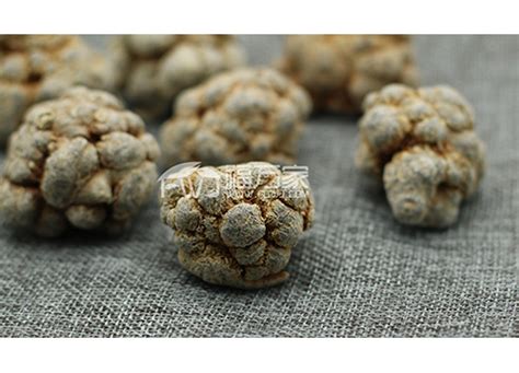 三七根须的功效