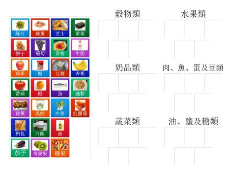 健康飲食金字塔食物分類 Group sort