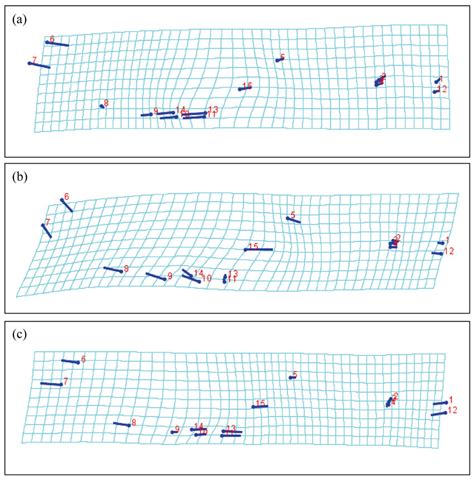 Thin Plate Spline Deformation Grids Of Wing Shape Variation In Download High Quality