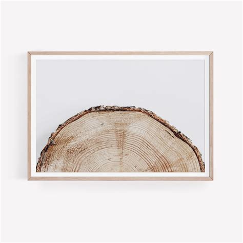 Tree Ring Wall Art Etsy
