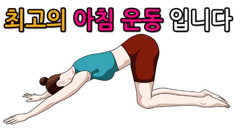 아침에 일어나서 하면 좋은 최고의 운동이 됩니다