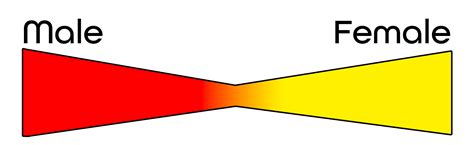 Simplifying The Complicated Science Of Sex And Gender