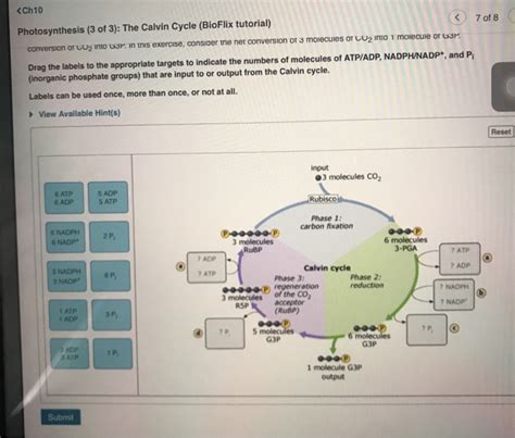 Quantifying The Inputs Of Atp And Nadph And Output Of Pi