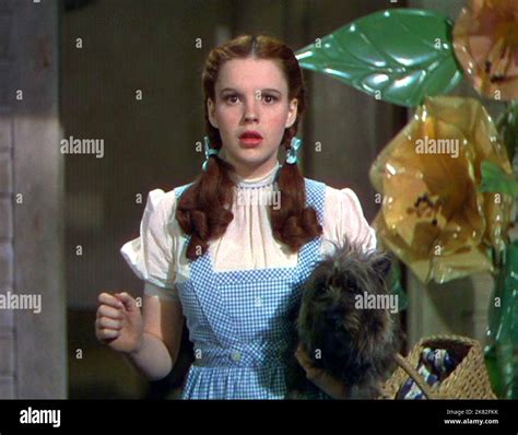 Judy Garland Film The Wizard Of Oz Usa 1939 Characters Dorothy Gale