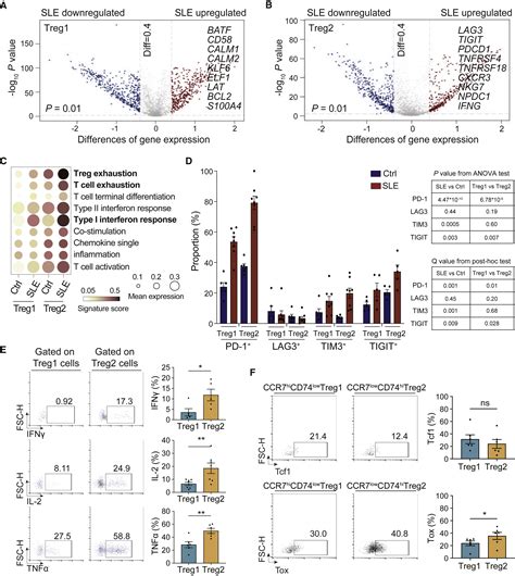 Single Cell Transcriptome Profiling And Chromatin Accessibility Reveal