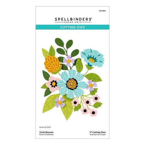Spellbinders Vivid Blooms Etched Dies From The Vivid Expressions