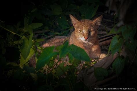 Parth Chavan On Linkedin Each Person Should Read This Carefully 👏