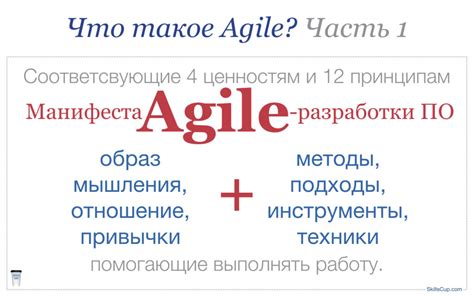 Что такое Agile Skillscup By