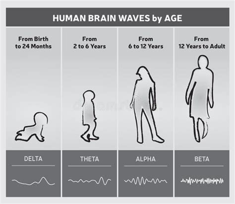 Alpha Beta Delta Gamma Theta Brain Waves Stock Illustrations 17 Alpha Beta Delta Gamma Theta
