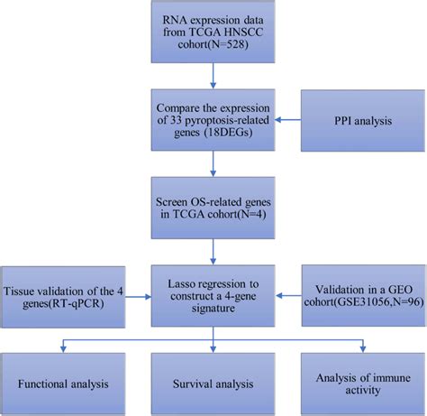 Workflow Diagram Of Data Analysis Download Scientific Diagram
