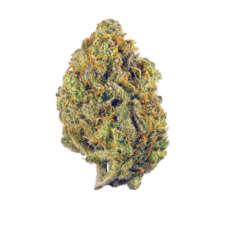 Home Prime Buds