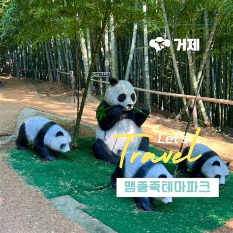 거제 맹종죽 테마파크 거제도 대나무숲 공원 여행 네이버 블로그