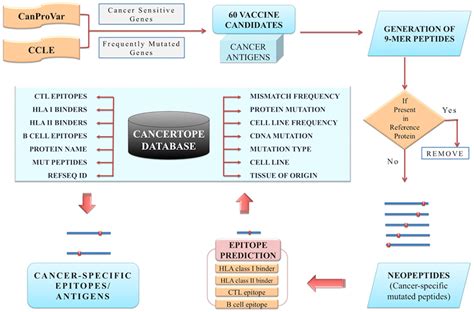 A General Workflow Exhibiting The Overall Concept Of Database Section Download Scientific