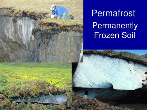 Ppt Land Biomes Of The World Powerpoint Presentation Free Download