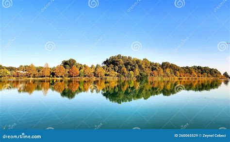 árboles De Plátano Orientales Caen Al Lado Del Río Seyhan En Adana