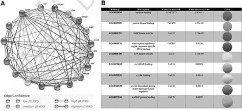 The String Ppi Network Is Based On Kegg Routes A Protein
