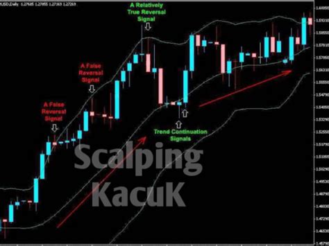 MQL5 Community On Twitter Scalping KacuK Expert For MetaTrader 4
