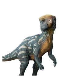 Homalocephale Dinodex Jurassic World Alive