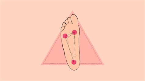 The Triangle Of The Foot The Ballet Source The Ballet Source