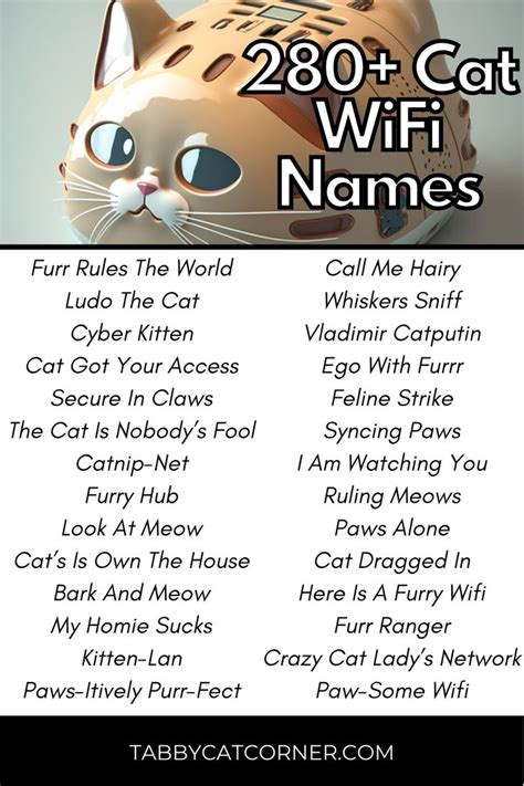 Best Cat Wifi Names