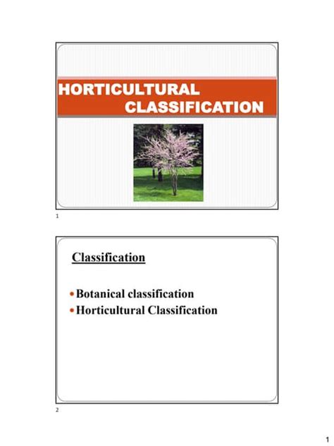2 Classification Pdf
