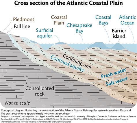 Atlantic Coastal Plain Diagram