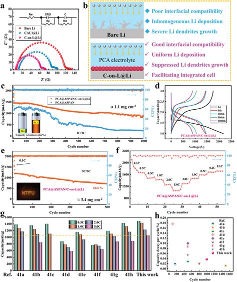 A Nyquist Plot Of Asymmetric Cells With Pca Gel Electrolyte B The Download Scientific