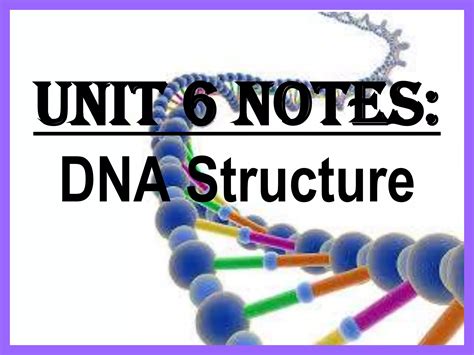 Biology Unit 6 Dna Rna Protein Synthesis Dna Structure Notes PPT