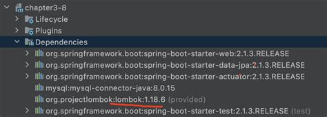 升级idea后lombok不能用了，如何解决？ 程序猿dd 博客园