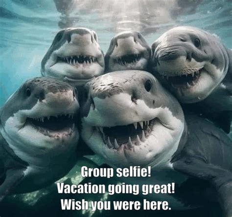 Have A Laugh Post Those Funny Memes Here Page Xnxx Adult Forum