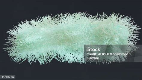 편모가 많은 Peritrichous 박테리아 검은 색 환경에서 움직이는 긴 꼬리와 얇은 융모가있는 박테리아 액체 공간에 떠있는 바이러스 미생물 감염 미세 융모 3d 렌더링