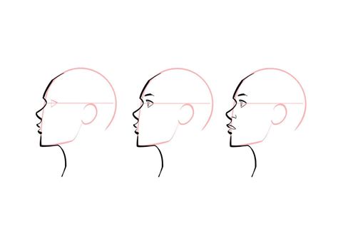 How To Draw Face Angles The Phoenix Comic