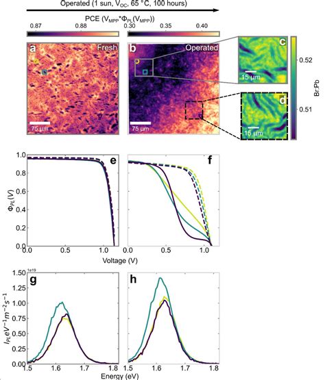 Figure 1 From Multimodal Operando Microscopy Reveals That Interfacial