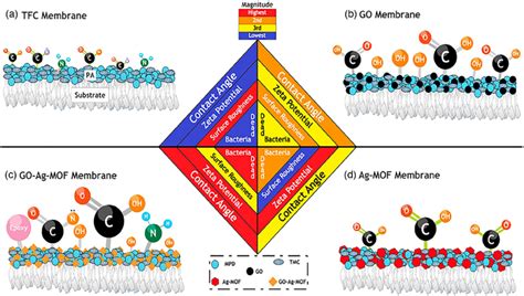 The Parameters That Affect The Membranes Anti Biological Fouling And Download Scientific