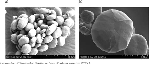 Figure 1 From Morphometric Analysis Of Paramylon Particles Produced By