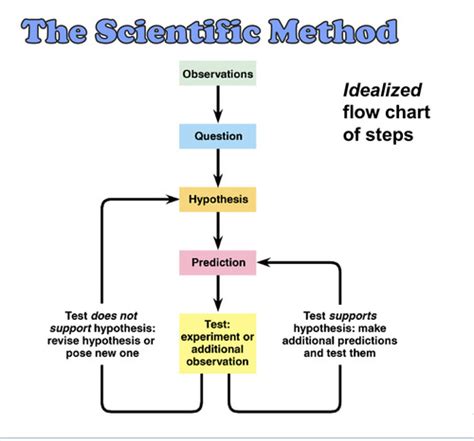 Biology Scientific Method Flashcards Quizlet