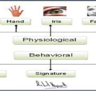 Multimodal Biometric System Download Scientific Diagram