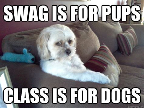 Swag Is For Pups Class Is For Dogs Worry Mutt Quickmeme