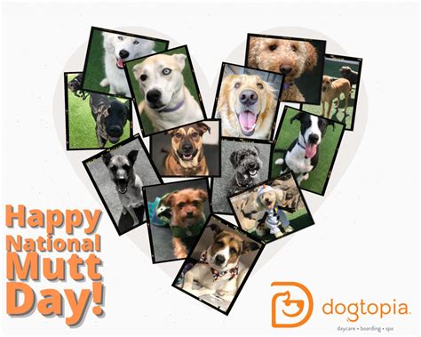 Happy National Mutt Day Anaheim Hills