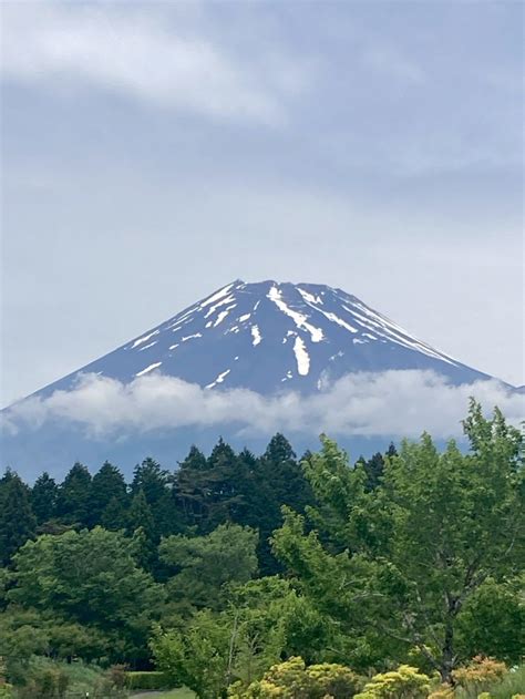 田中美保 田中美保 Added A New Photo